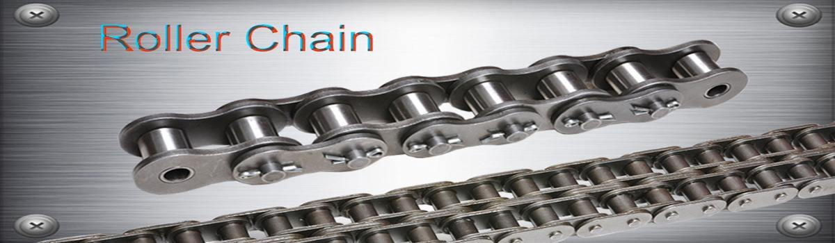 Zhejiang Shenlong Chain Transmission Co., Ltd. - Roller Chains ...