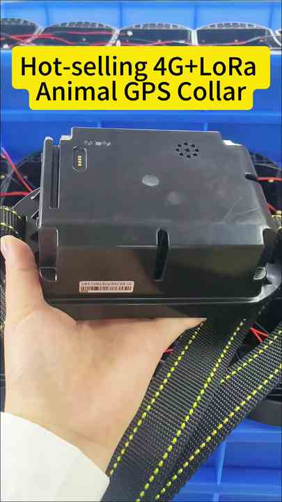 Lora Animal GPS Tracking - Durable & Feature-Rich Collars