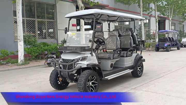 Sightseeing Electric Cart - All-Terrain Vehicles Direct Sales