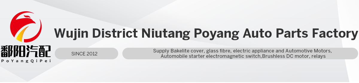 Company Overview - Wujin District Niutang Poyang Auto Parts Factory