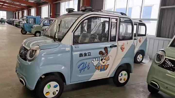 Custom Black Chinese Made Mini Low Speed Electric Car