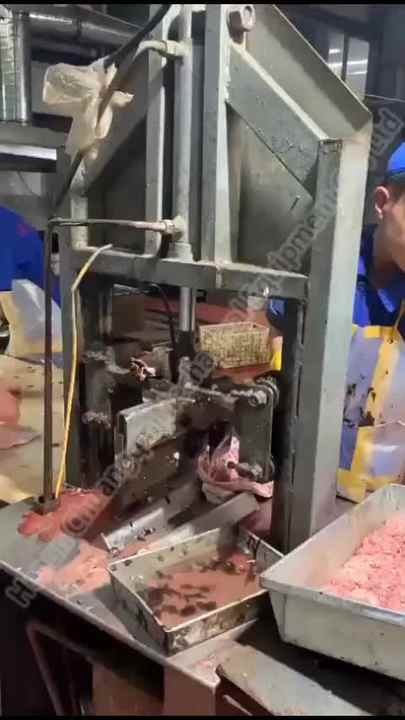 Goat Head Splitter Machine Pig Head Hydraulic Cutting Machine Cow Head ...