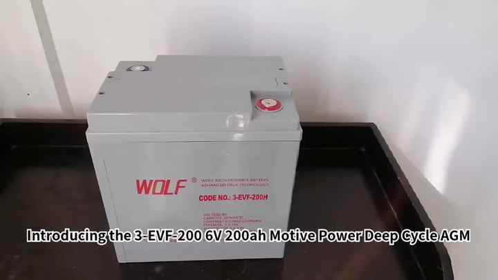 WOLF 6V 200AH Deep Cycle AGM Rechargeable Battery for Golf Carts ...