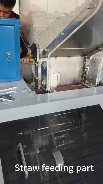 Deedo Supplier Plastic Spoon Shaped Straw Making Machine Bending ...