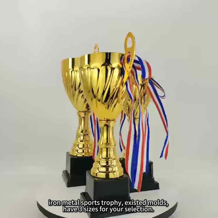 Special Custom Metal Trophy With Custom Logo and Design No MOQ ...