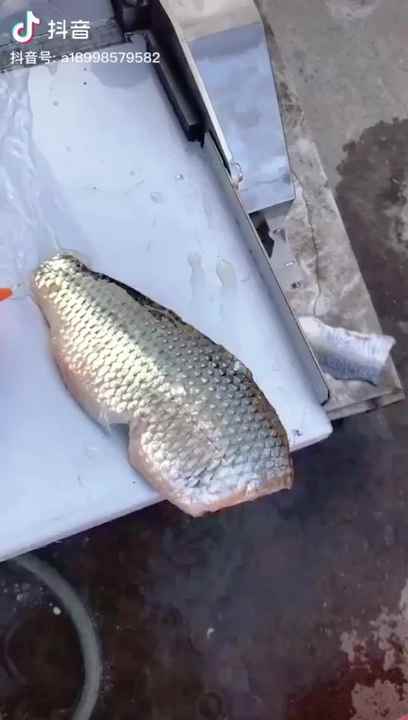Squid Skin Removing Automatic Skinning Machine Fish Skinner Hand ...