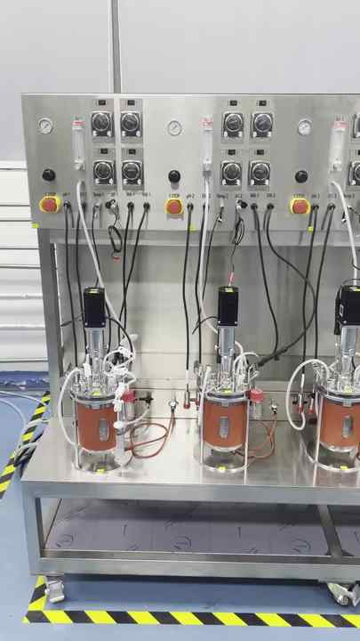 Bench-top bioreactor/fermenter system glass fermentation tank single ...