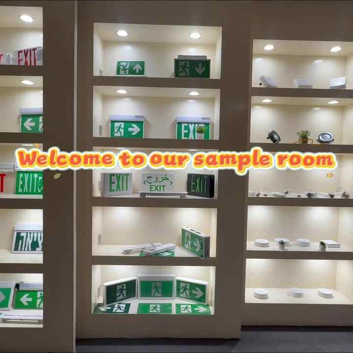 LED Emergency Exit Safety Sign Box IP65 Wall Mount 1.2W Emergency Power ...