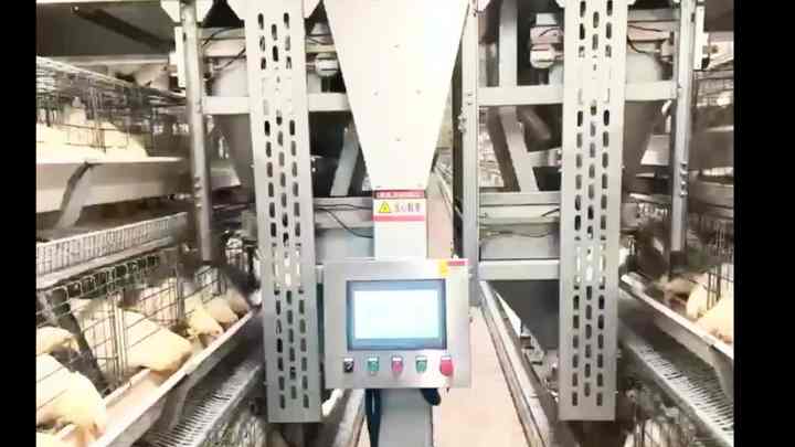 Automatic Layer Breeding Chicken Feed Machine Precision Feeding System ...