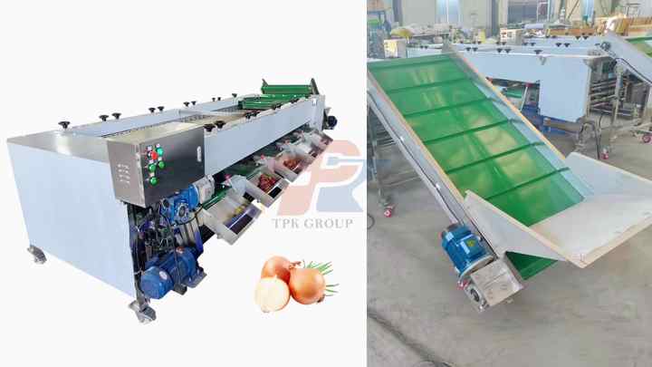 Commercial Potato Sorter Machine Onion Grading Machine Lemon Sorter ...