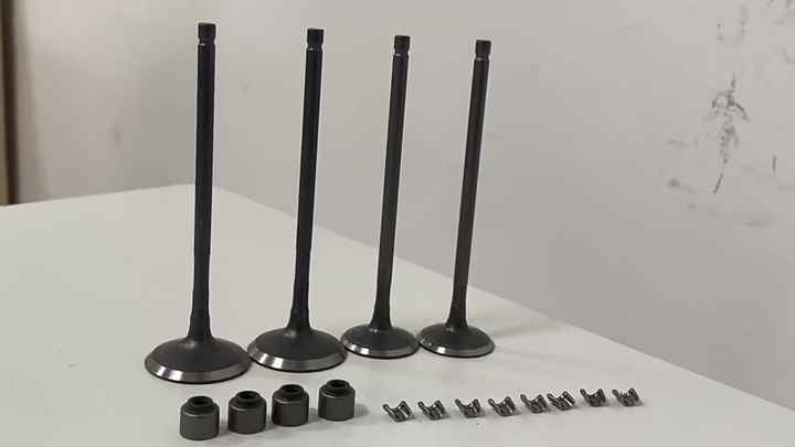 Bajaj Pulsar NS200 Valve Stem Seals Set Intake Exhaust for Motorcycle ...