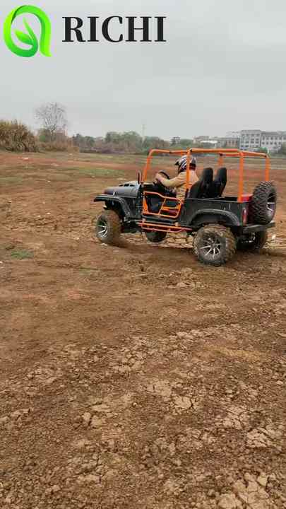Richi Cheap 4-Stroke off-Road Jeep 4x4 Gasoline Mini Jeep for Adults