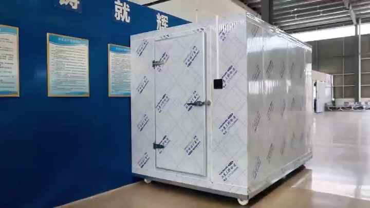 Blast Freezer for Frozen Meat & Fish Processing - Cold Room