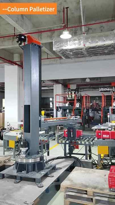 Focus Machinery Automatic Palletizer - Efficient & Reliable