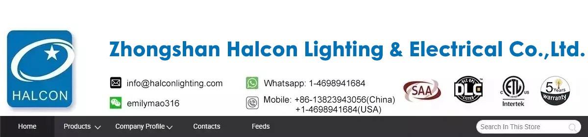 Company Overview - Zhongshan Halcon Lighting & Electrical Co., Ltd.