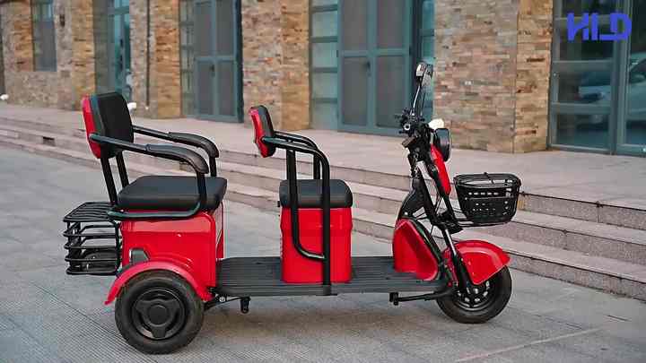 Holladay Electric Trike 48V 3 Seater Electric Tricycle 3-Wheel Cargo ...