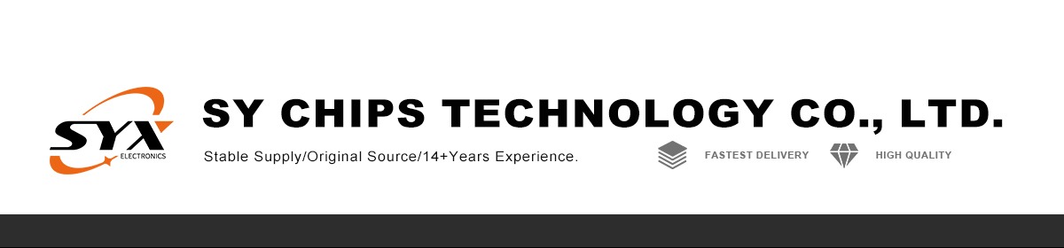 Company Overview - Shenzhen Sy Chips Technology Co., Ltd.