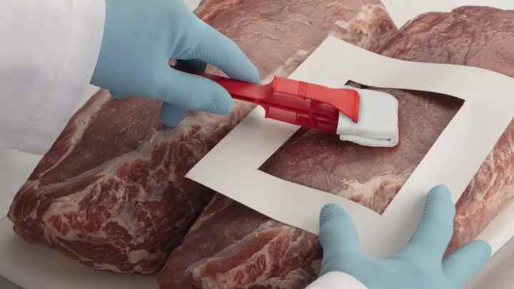 Sterile Surface Sampling Kit with Cellulose Sponge and handle for ...