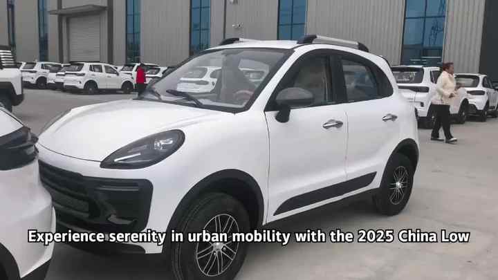 2025 Year Premium Low-Speed EV: 3500W Motor, 175 Alloy Wheels, Smart ...