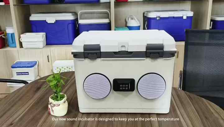 New Arrival Lightweight Multi-functional Music Radio Insulated Coolers ...