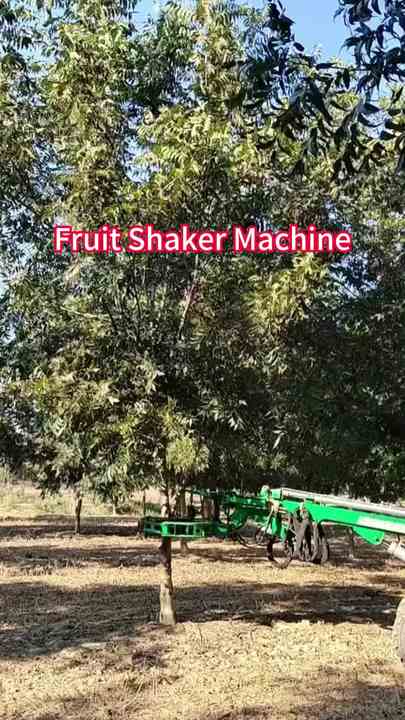 Efficient Fruit Shaker - High Productivity Harvesting Equipment
