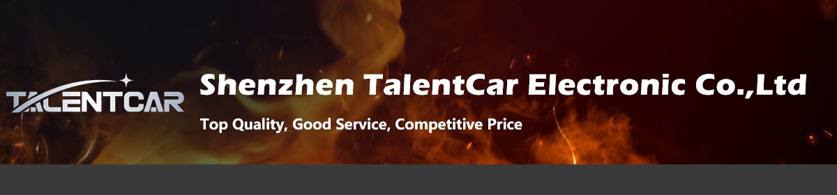 Company Overview - Shenzhen Talentcar Electronic Co., Ltd.