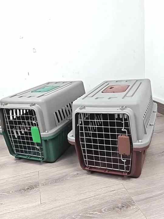 Eco-friendly Pet Carriers - Durable & Sustainable Solutions
