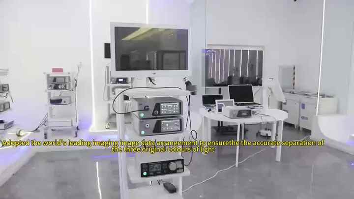 High Quality UHD 4k Video Endoscopy for Medical Examinations