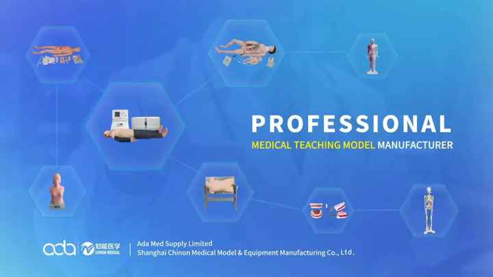 H220B Advanced Female Nursing Manikin Full-featured Vivid Teaching ...