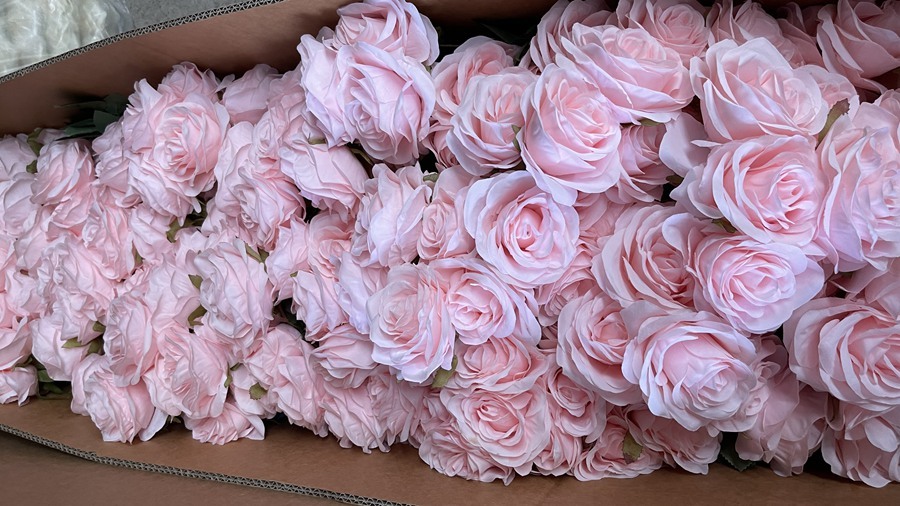 Company Overview - Tianjin Tiancheng Industrial Group Co., Ltd.