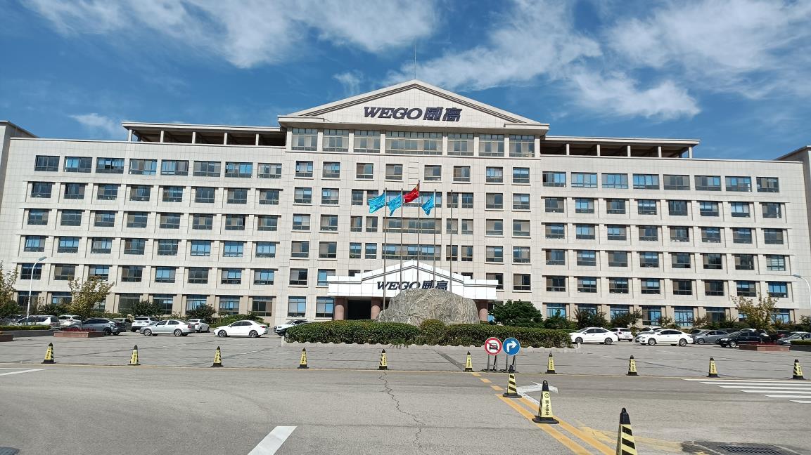 Weigao Medical International Co., Ltd.