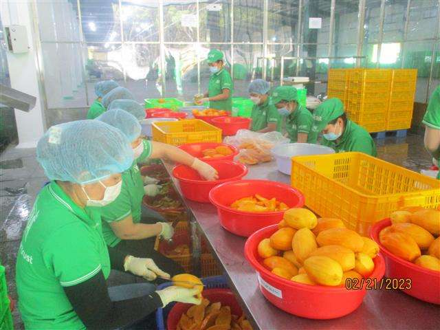 NAM VIET FOODS AND BEVERAGE JSC