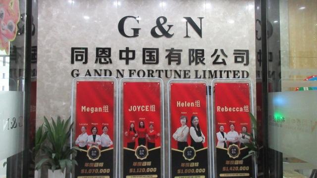 Company Overview - G And N Fortune Limited
