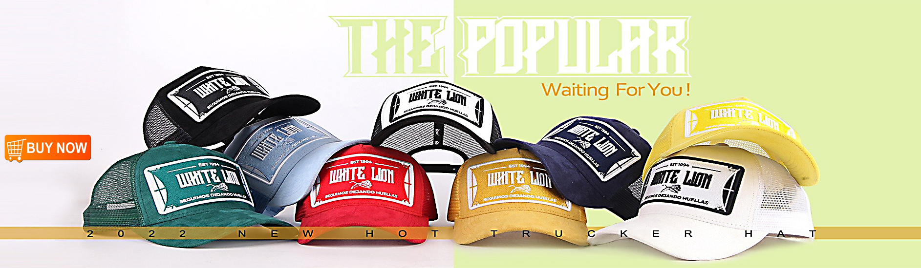 INJAE VINA CO., LTD - Socks, Scrunchies