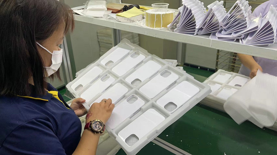 Company Overview - Dongguan Prosub Technology Co., Ltd.