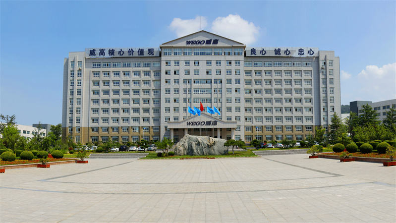 Shandong Weigao Group Medical Polymer Co., Ltd.