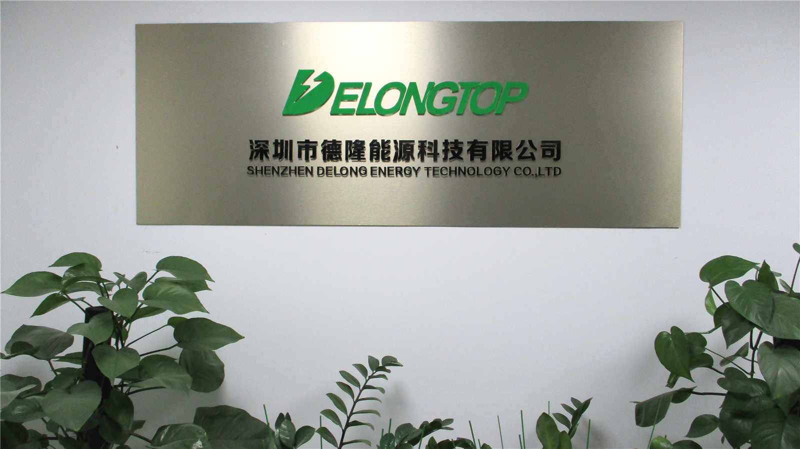 Shenzhen Delong Energy Technology Co., Ltd.
