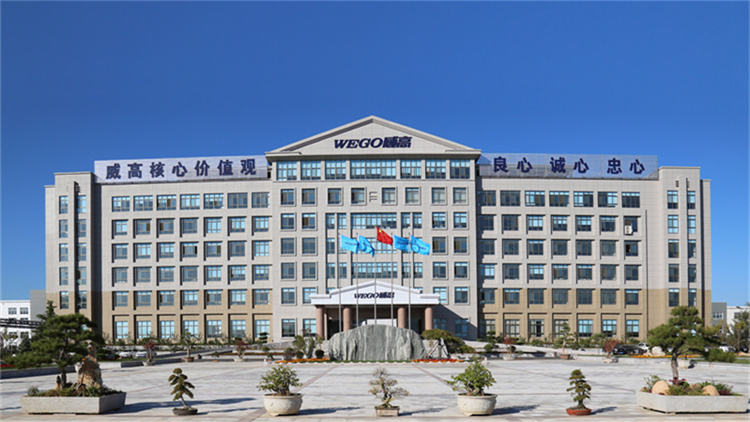 Shandong Weigao Group Medical Polymer Co., Ltd.