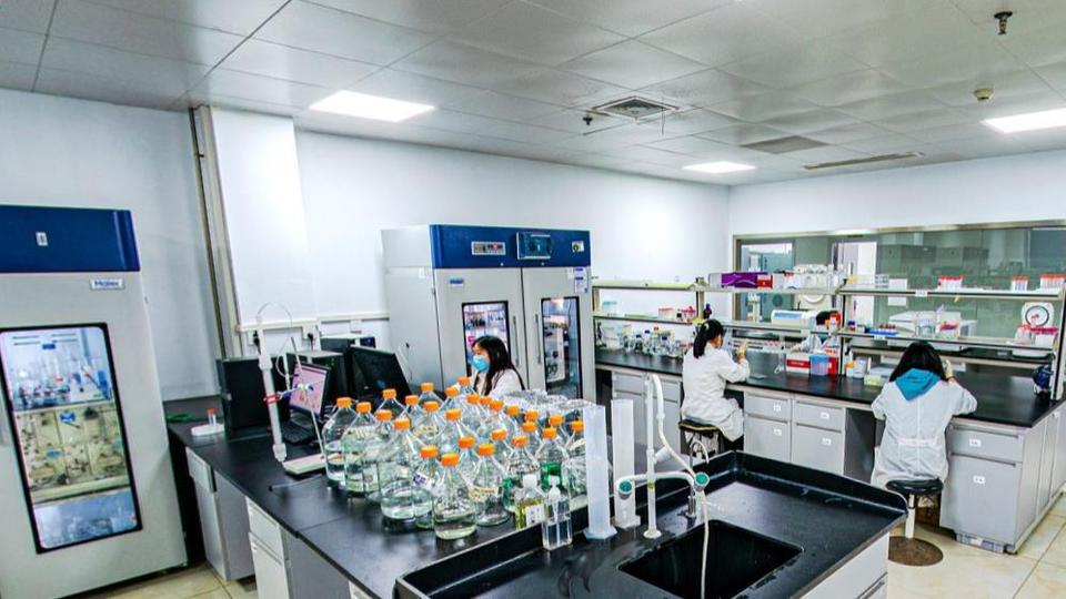 公司概述 - Wuhan Servicebio Technology Co., Ltd.