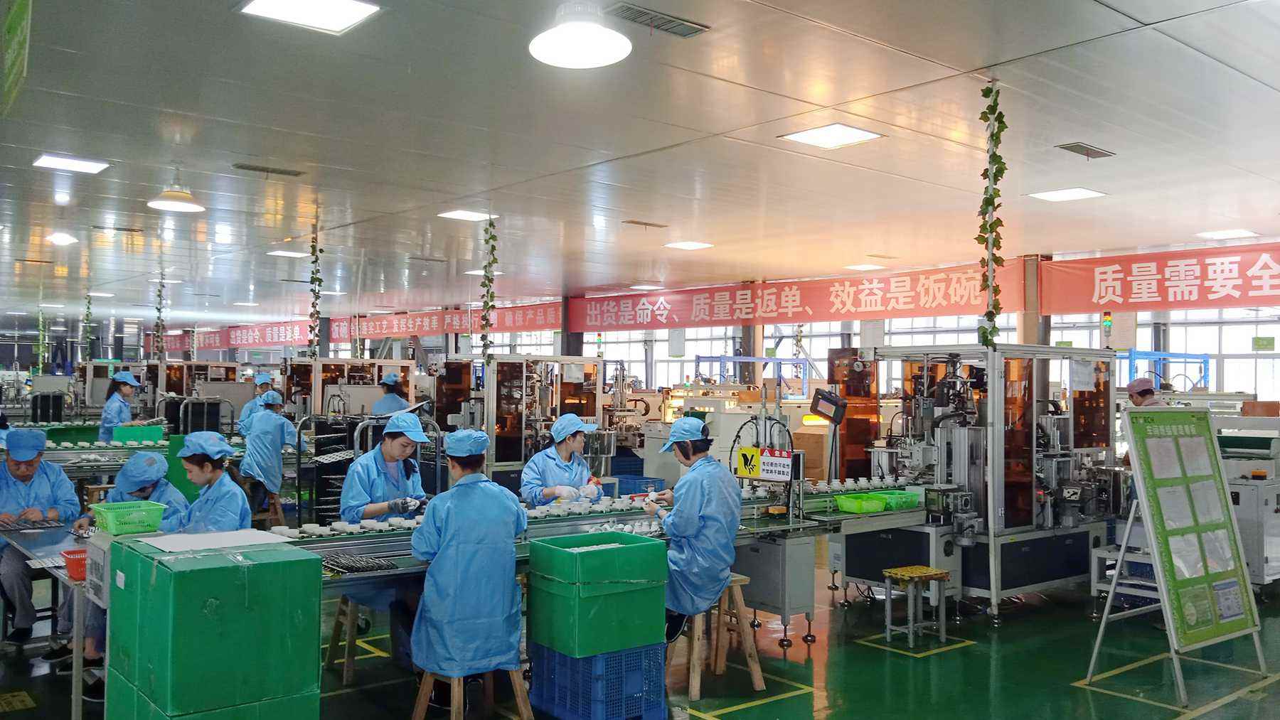 Anhui Liangliang Electronic Technology Co., Ltd.