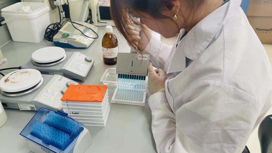 公司概述 - Beijing Solarbio Science & Technology Co., Ltd.