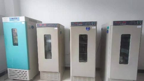 Shandong Weigao Group Medical Polymer Co., Ltd.