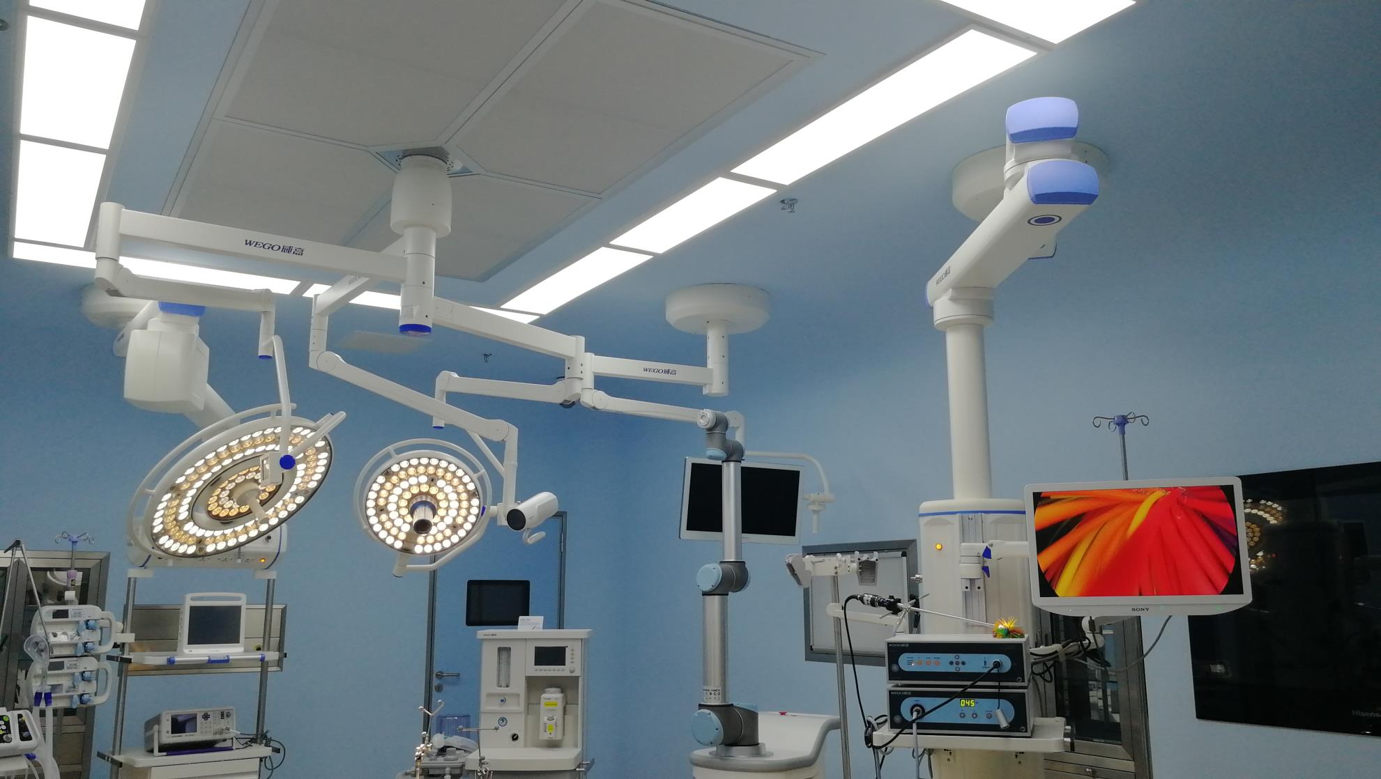 Weigao Medical International Co., Ltd.