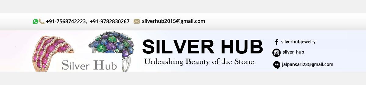 Company Overview - SILVER HUB