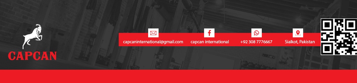 Company Overview - CAPCAN INTERNATIONAL