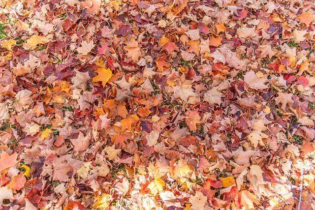 100+ Inspiring Time Together Quotes for Cherished Moments