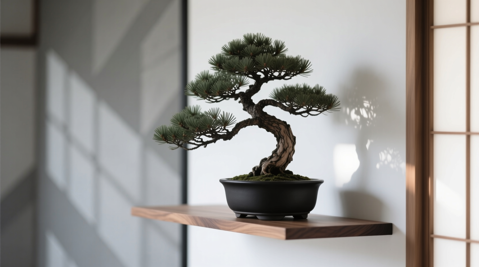 Bonsai Statement Plant: Definition, Selection & Styling Guide
