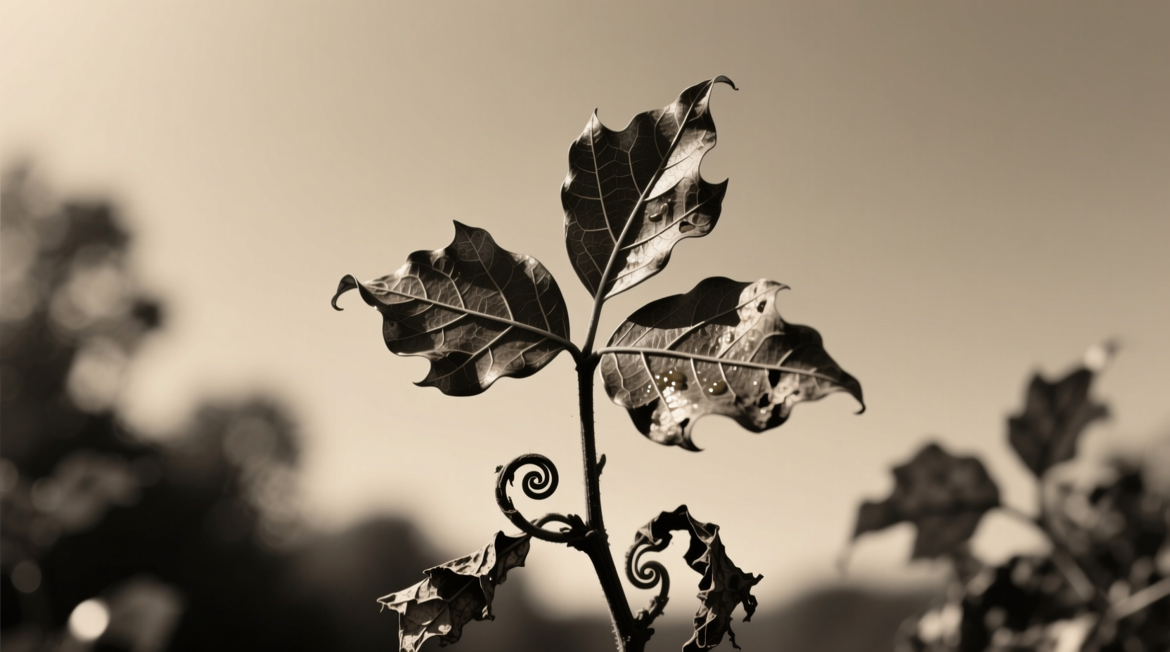 Why Dead Poison Ivy Still Threatens Your Skin: Science-Backed Guide