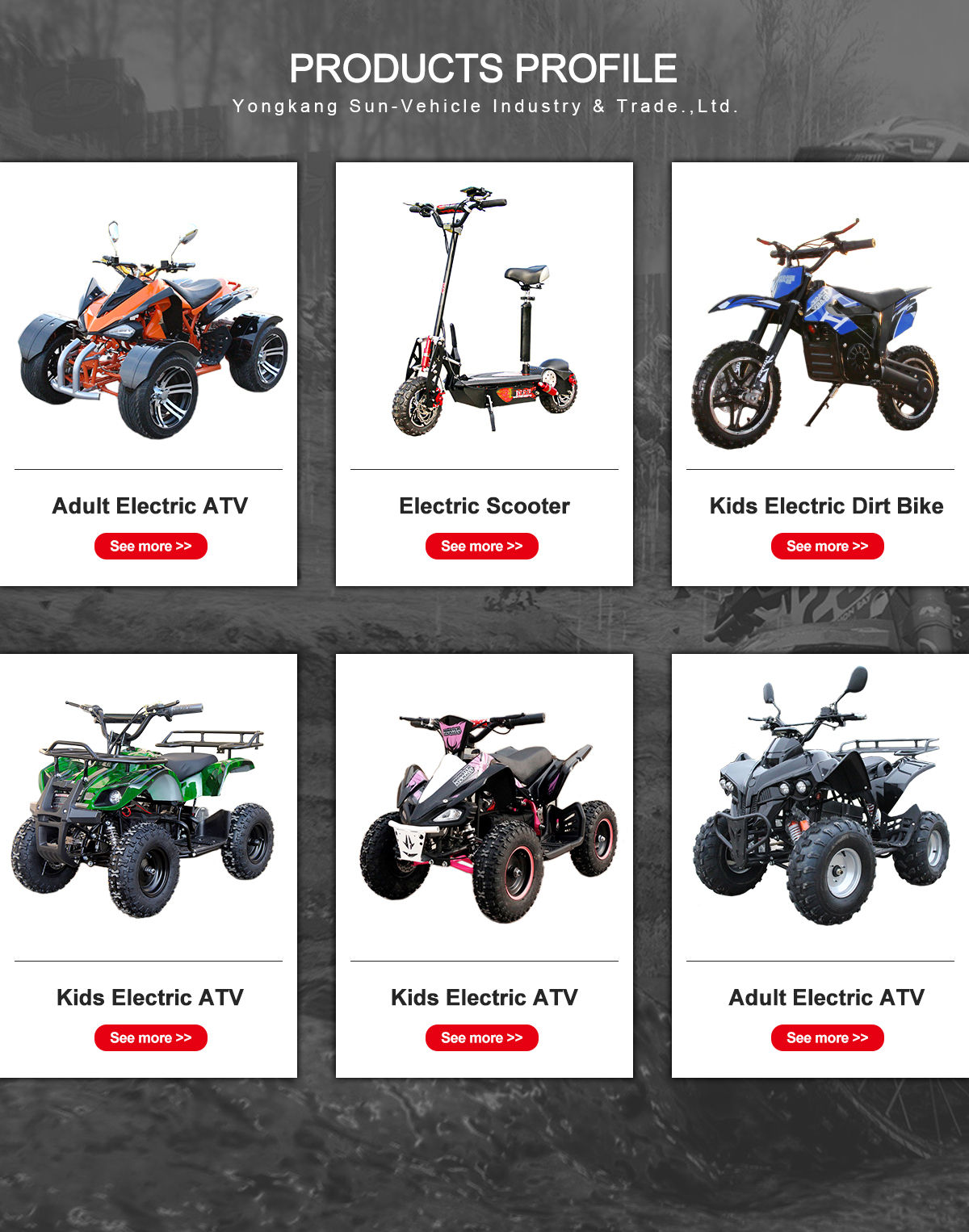 Yongkang Sun-Vehicle Industry & Trade Co., Ltd. - scooter, ATV