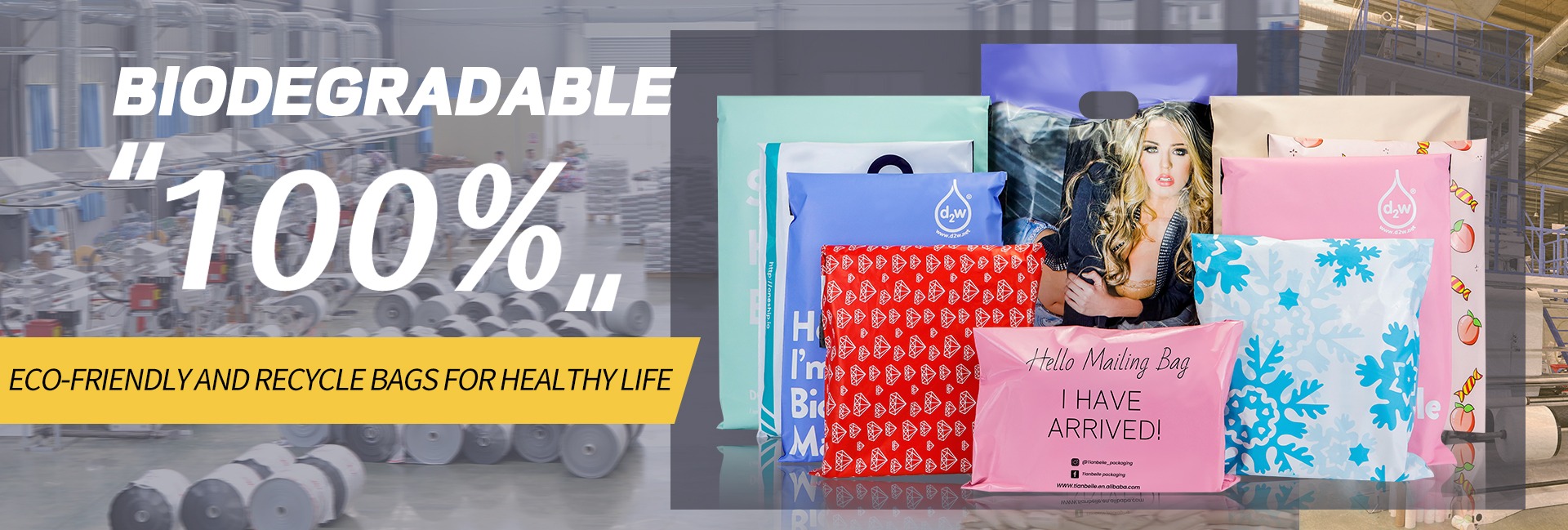 Company Overview - Dongguan Yuehong Packaging Materials Co., Ltd.